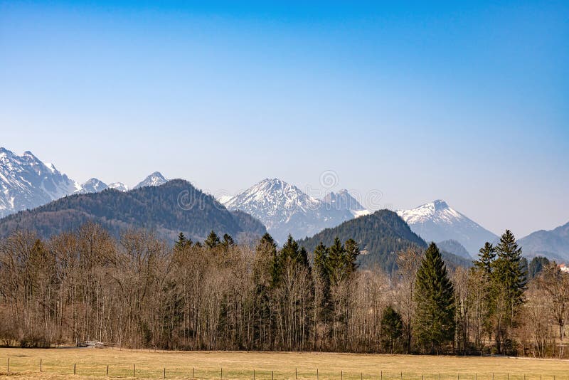 Landscape Photo, Alpine Mountains on the Horizon, Trees in Front Stock ...