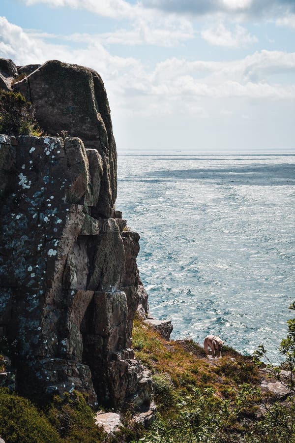 Landscape Photo of Seaside and Cliff Stock Photo - Image of nature ...