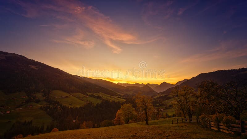 Landscape Photo Of Trees During Golden Hour Stock Image - Image of ...