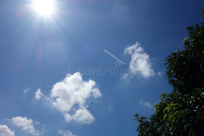 Landscape Photography of Sky, the Sun, Trees, White Clouds Stock Photo ...