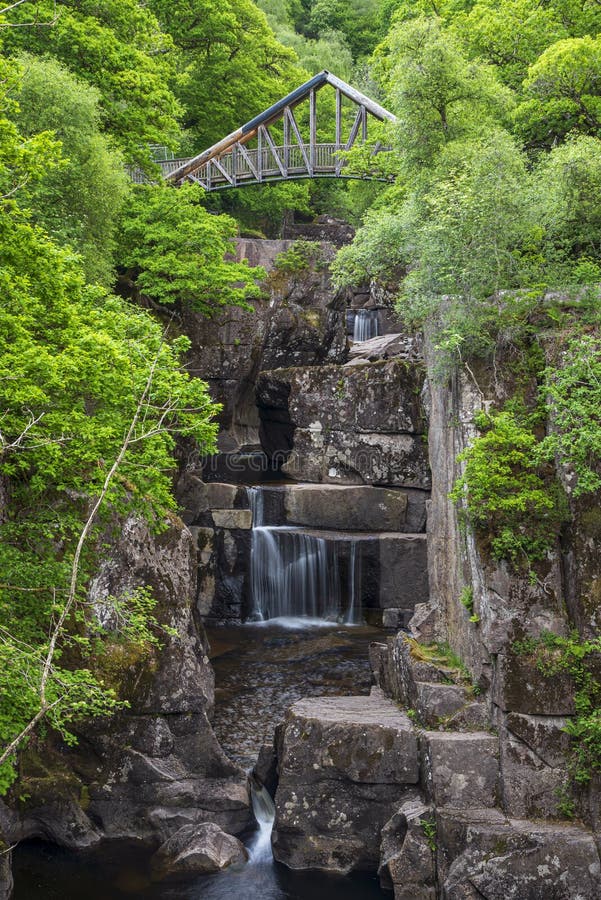 Landscape Photography of Waterfall in Forest Stock Image - Image of ...