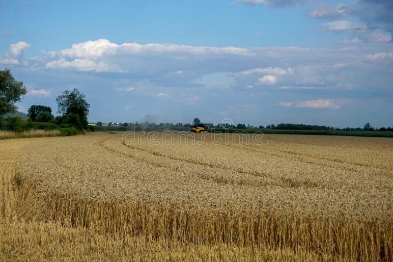 Landscape Photos in Bavaria with Fields and Meadows Photographed in ...