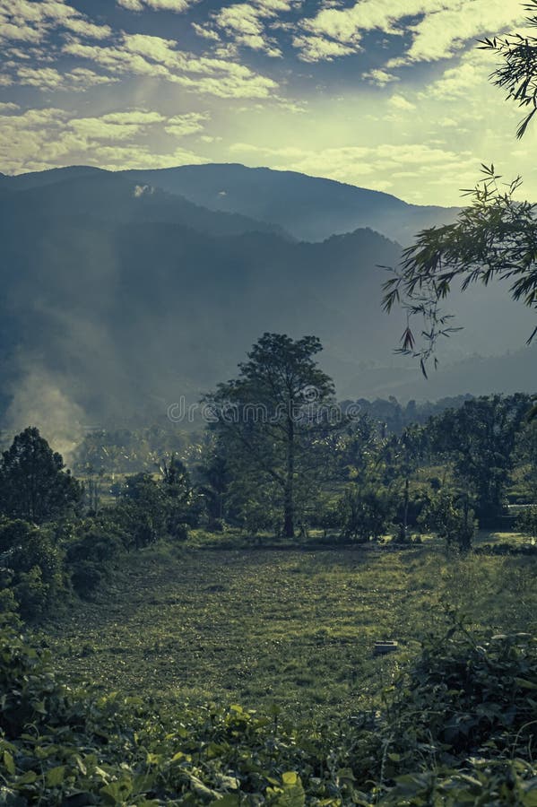 Landscape Photos the Leuser Mountains are the Lungs of the World Stock ...