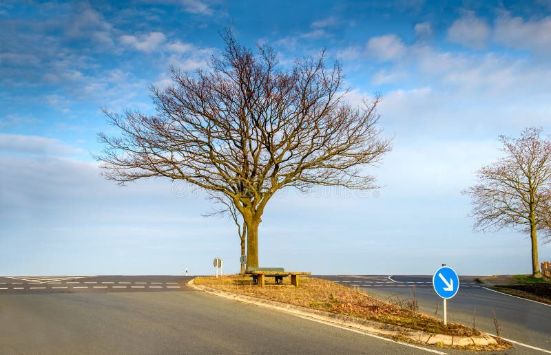 Landscape Picture with a Single Tree in Middle of the Asphalt ...