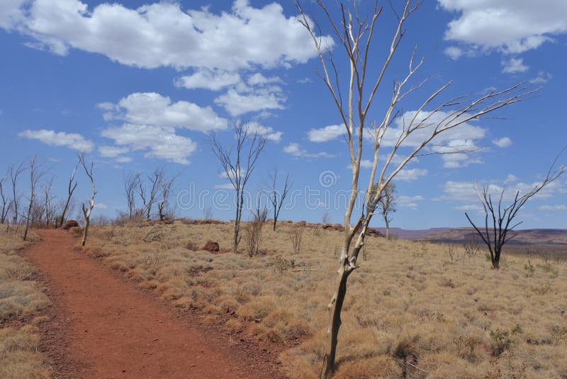 Landscape of Pilbara Region in Western Australia Stock Photo - Image of ...