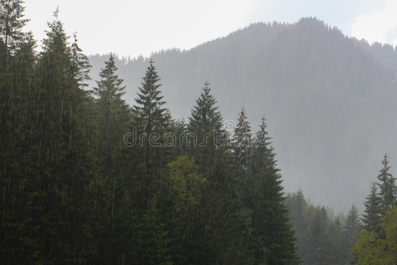 Landscape of the Forest and Mountains with Rain Stock Photo - Image of ...