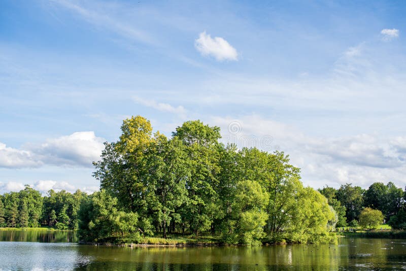 Landscape with Pines and Trees, and a River. Nature, Sunny Forest ...