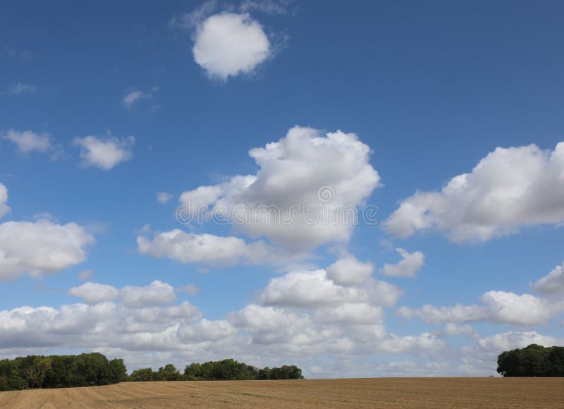 Landscape of the Plain with White Clouds the Land Parched Due To Stock ...