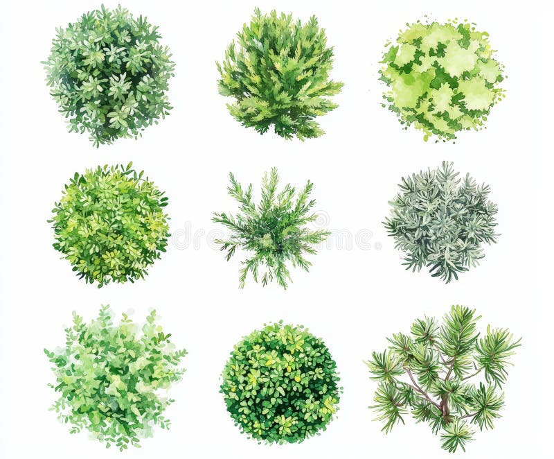 For Landscape Planning and Architecture Layouts, this Watercolor Set ...