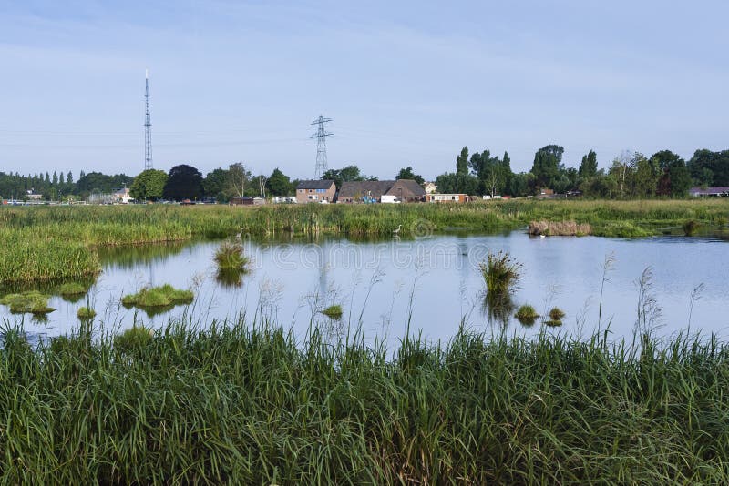 Landscape at Poelgeest Polder Stock Photo - Image of polder, landschap ...