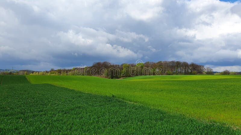 Landscape of Polish Green Fields Stock Photo - Image of beautiful ...