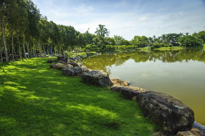 Landscape with Pond and Blue Cloudy Sky Stock Image - Image of fresh ...
