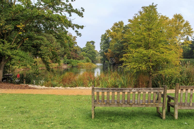 Pond in an English Park in the Fall Stock Photo - Image of outside ...