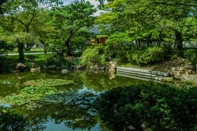 Landscape of Pond in Rural Public Park Stock Photo - Image of clouds ...