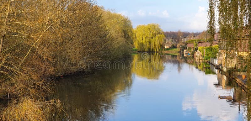 Landscape of a Pond Surrounded by Plants and Cottages Under the ...