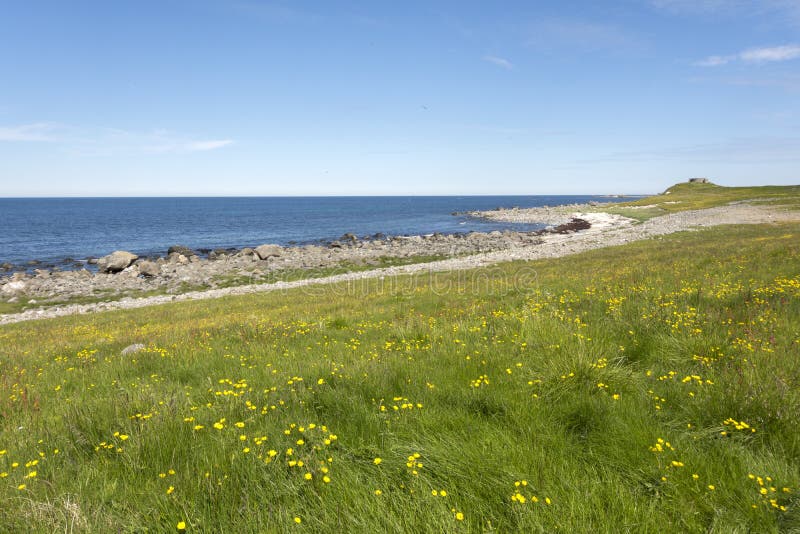 Landscape in Protected Park Area Borga Eggum in Eggun in Norway Stock ...