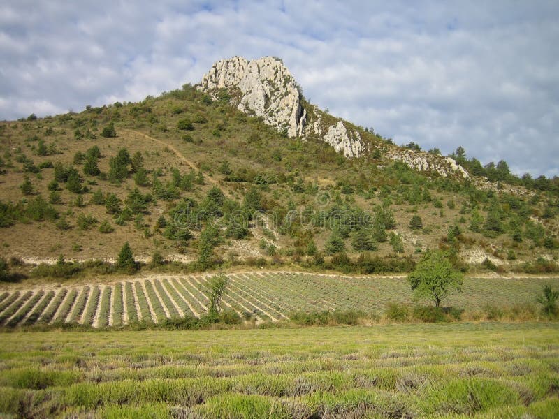 Landscape in Provence stock image. Image of provence, cultivation - 3805561
