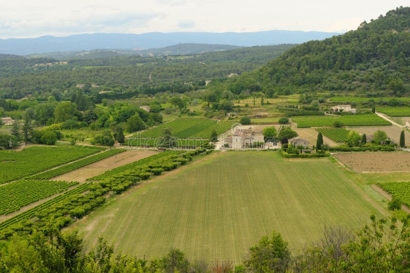 Landscape of Provence stock photo. Image of angle, lush - 42364846
