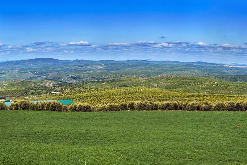 Landscape in Province of Jaen, Spain Stock Photo - Image of land ...