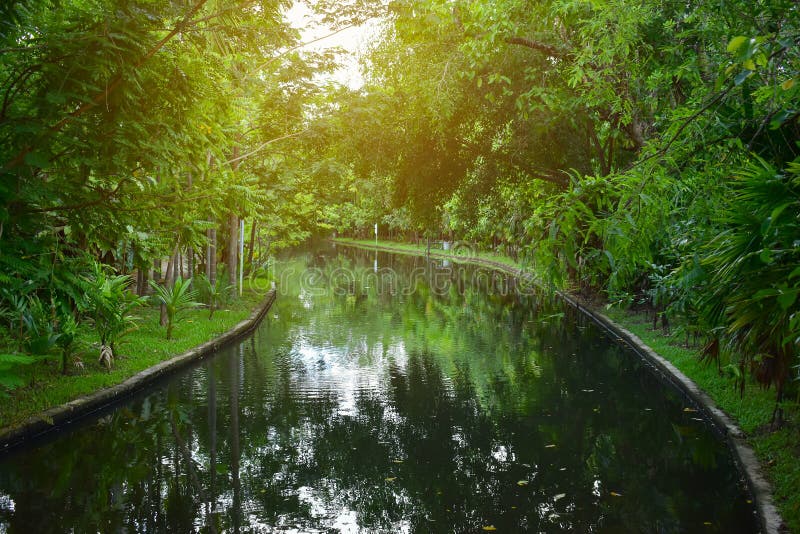 Landscape of Public Park in the Morning with View of Small Pond Stock ...