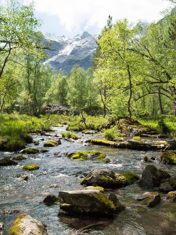 Landscape Pure Stream with Rocks in the Moss Stock Photo - Image of ...