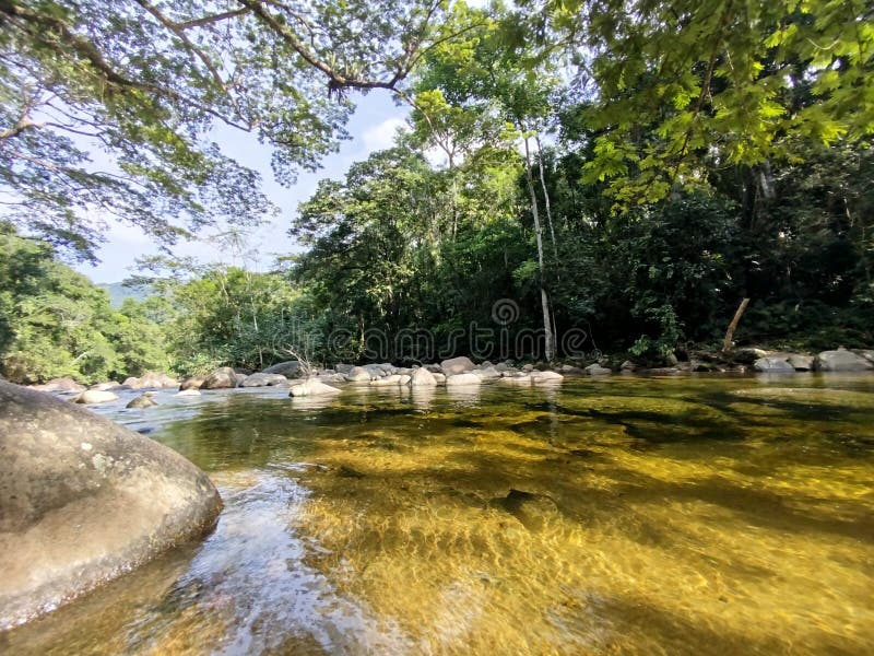 Landscape Purity Edge River Tropical Forest Sun Rays Stock Photos ...