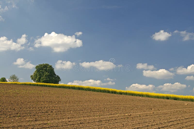Landscape with Field in Spring, Lower Saxony Stock Image - Image of ...