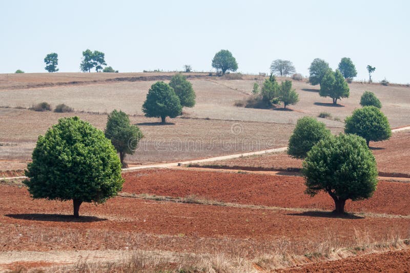 Landscape of red earth stock image. Image of grass, scenery - 51094265