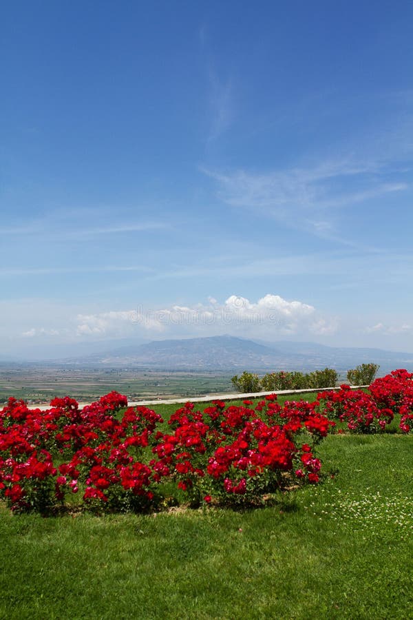 Landscape with red flowers stock photo. Image of blue - 47817198