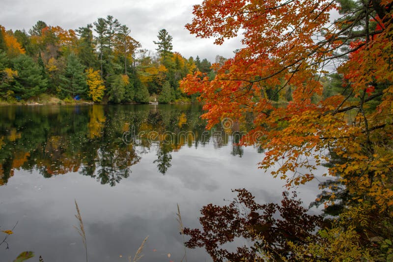 Landscape with Red Maple on the Muskoka River, Canada. Stock Photo ...