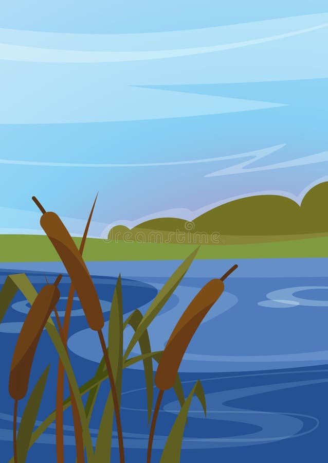 Landscape with Reeds on the River. Stock Vector - Illustration of ...