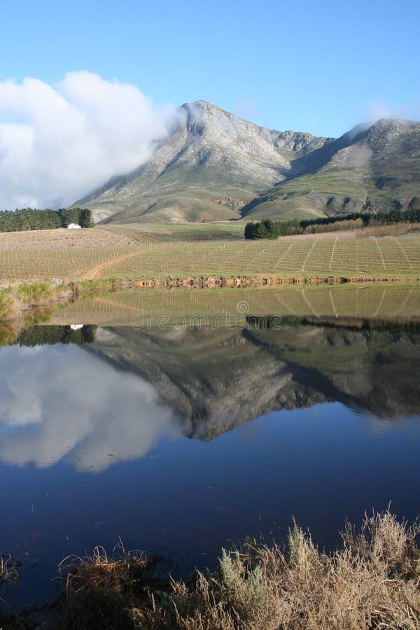 Landscape reflections stock photo. Image of vineyards - 6993564