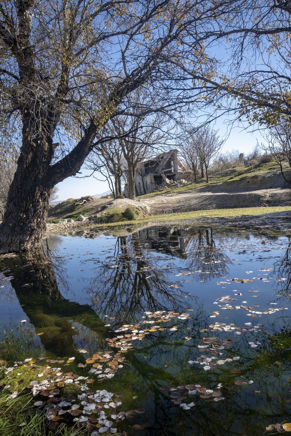 Landscape with Reflections in the Water Pond Stock Photo - Image of ...