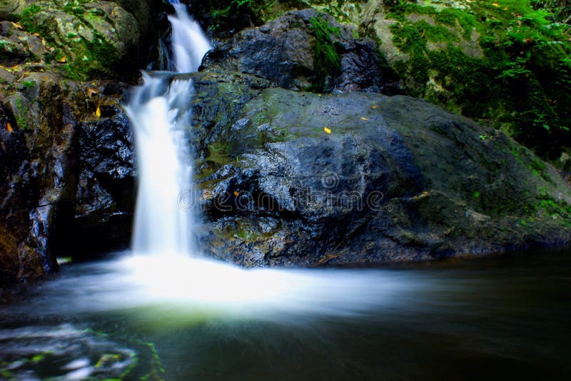 Visual Perception stock illustration. Illustration of development ...