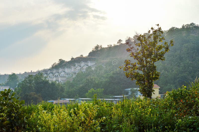 Landscape of resort stock photo. Image of forest, resort - 167798624