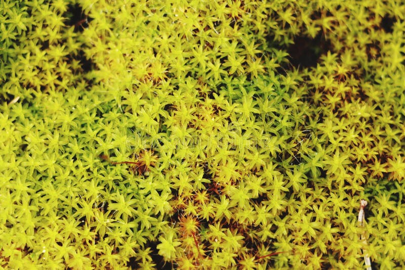 Landscape stock photo. Image of rest, river, bags, word - 174446326