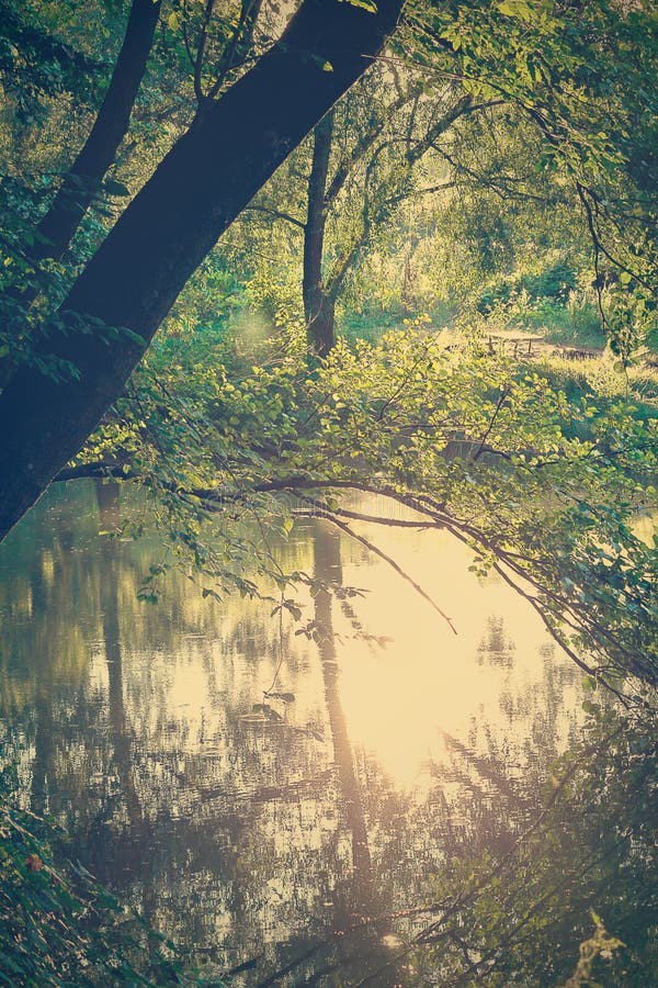 Landscape in retro style stock photo. Image of summer - 78735076