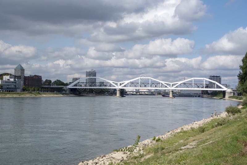 Landscape of Rhein River and Bridge in Mannheim Germany Editorial Image ...