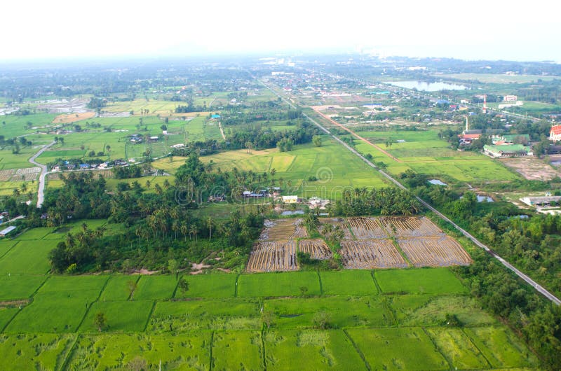 Landscape of rice farm stock photo. Image of paddy, grass - 29934742