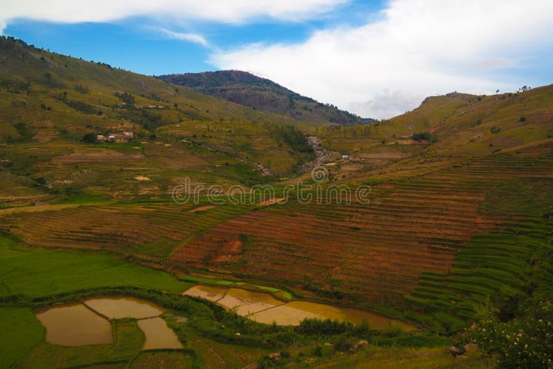 Landscape with the Rice Fields at Ambalavao Fianarantsoa ,Madagascar ...