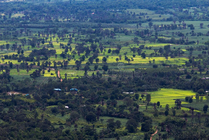 Landscape of Rice Fields Bird Eye View Stock Image - Image of beautiful ...