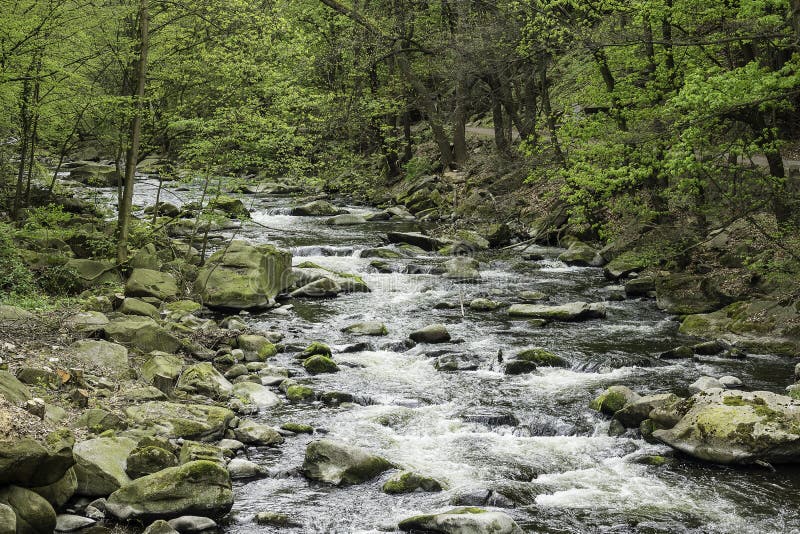 Bode River In Harz Mountains Stock Photo - Image of bright, green: 25607900