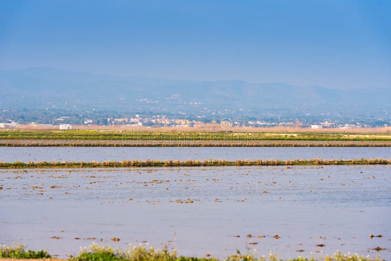 Landscape River Ebro Delta in Spain, Tarragona, Catalunya. Copy Space ...