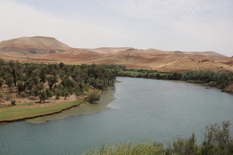 Landscape stock image. Image of direction, rural, growth - 59280113