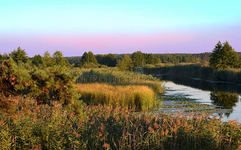 Landscape with River and Forest in the Evening Stock Photo - Image of ...