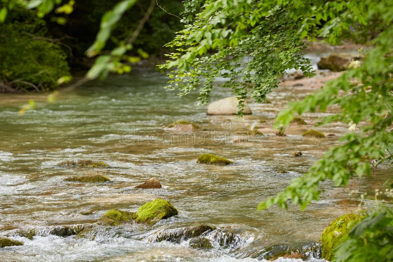 Landscape with a River through Forest Stock Image - Image of rock ...