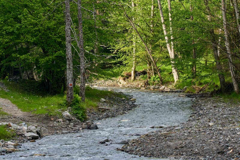 Landscape with a River through Forest Stock Image - Image of flow ...