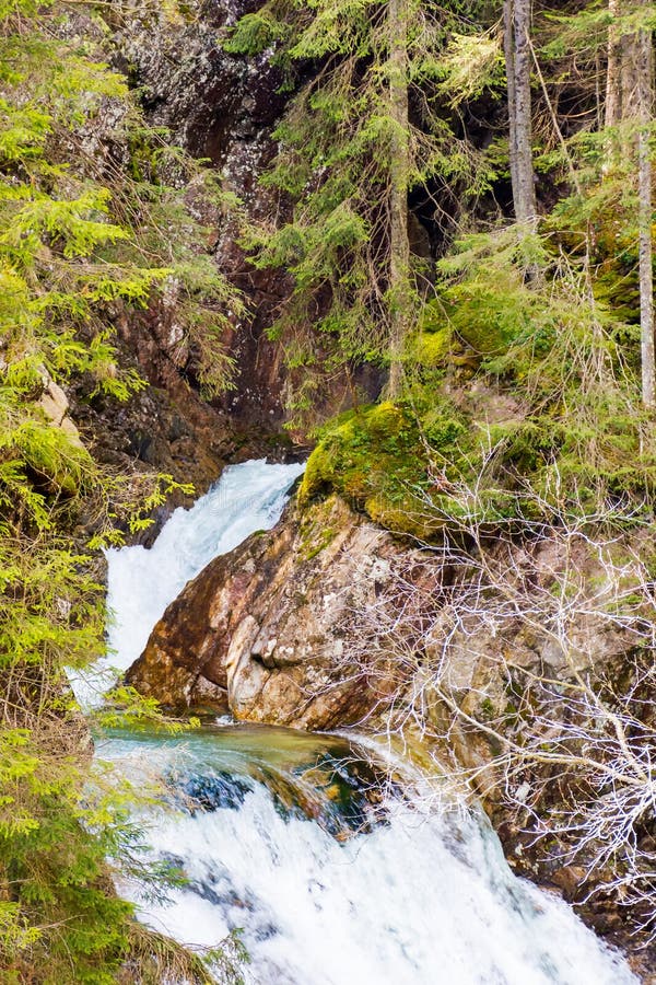 Landscape with River in Forest Stock Image - Image of tree, waterfall ...