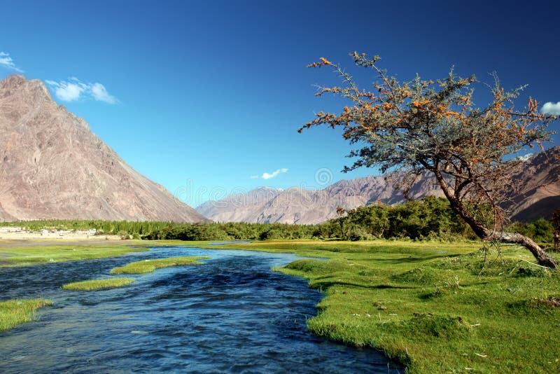 Landscape with River in Nubra Valley Stock Photo - Image of journey ...