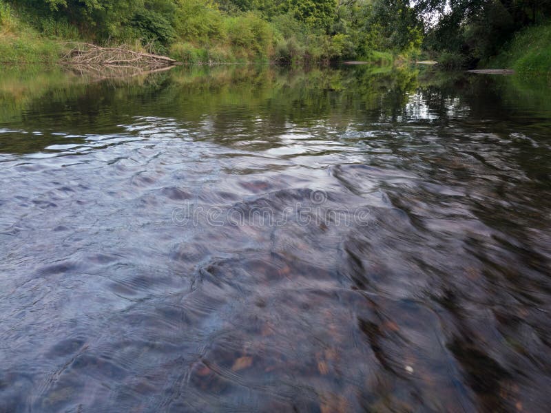 Landscape of River with Rapids, Fallen Dead Tree and Forested Banks ...